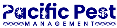 Common Pest Identification & Prevention In San Mateo, CA | Pacific Pest ...